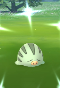 Tout savoir sur les Pokémon Chromatiques (Shiney / Shiny) | Pokéweb.fr